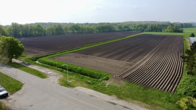 Landbouwgrond kopen: agrarische grond te koop in Nederland